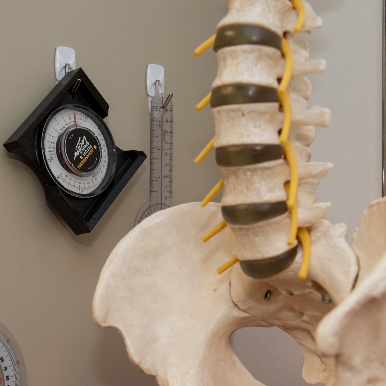 How to Apply - Physical Therapy | University of Cincinnati